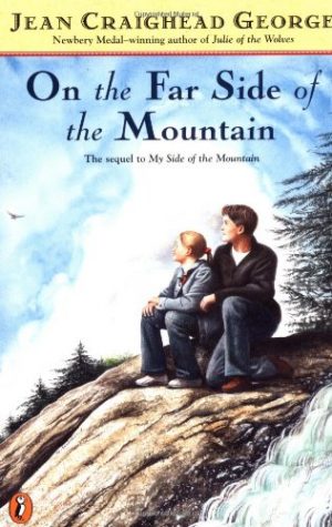 Adventurous Mountain Books your Tween will Love - Crafty Mama in ME!
