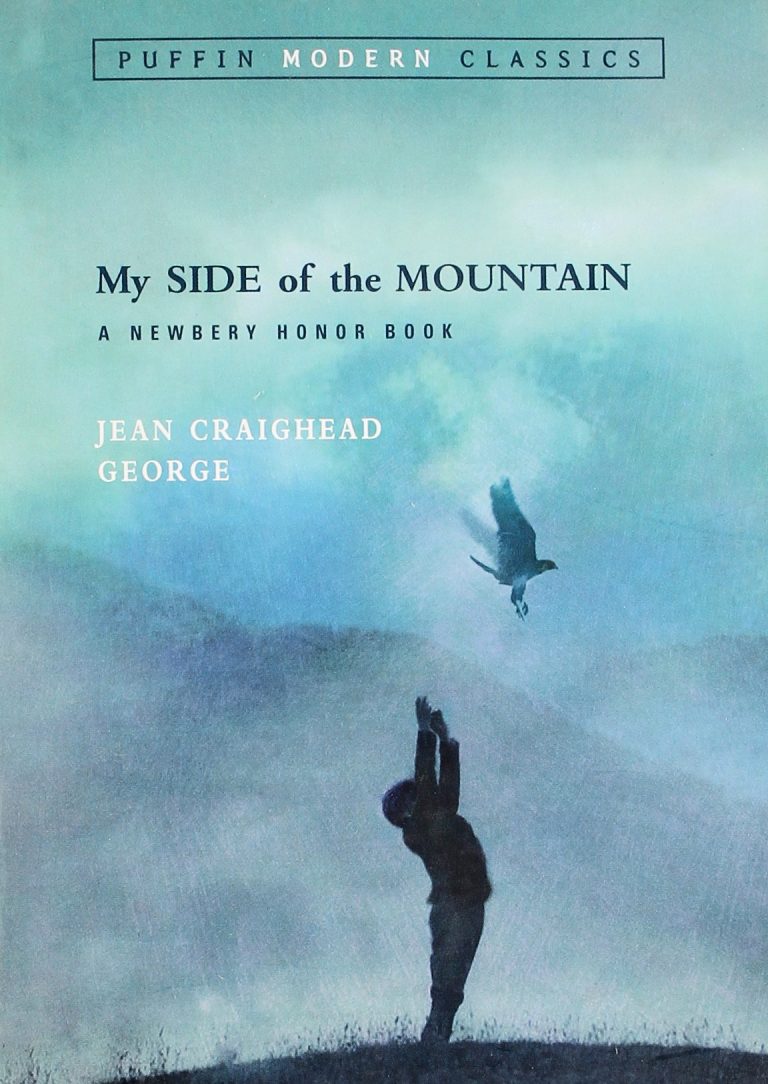 Adventurous Mountain Books your Tween will Love - Crafty Mama in ME!